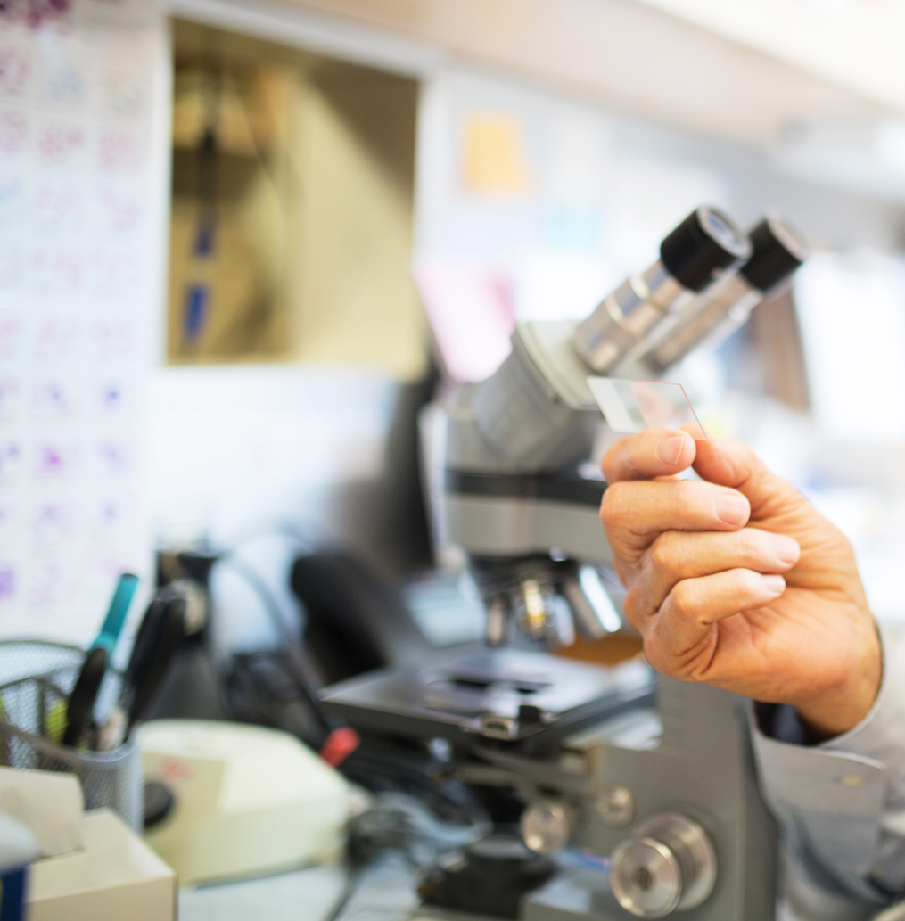 Test formation | Laboratoire Olivier